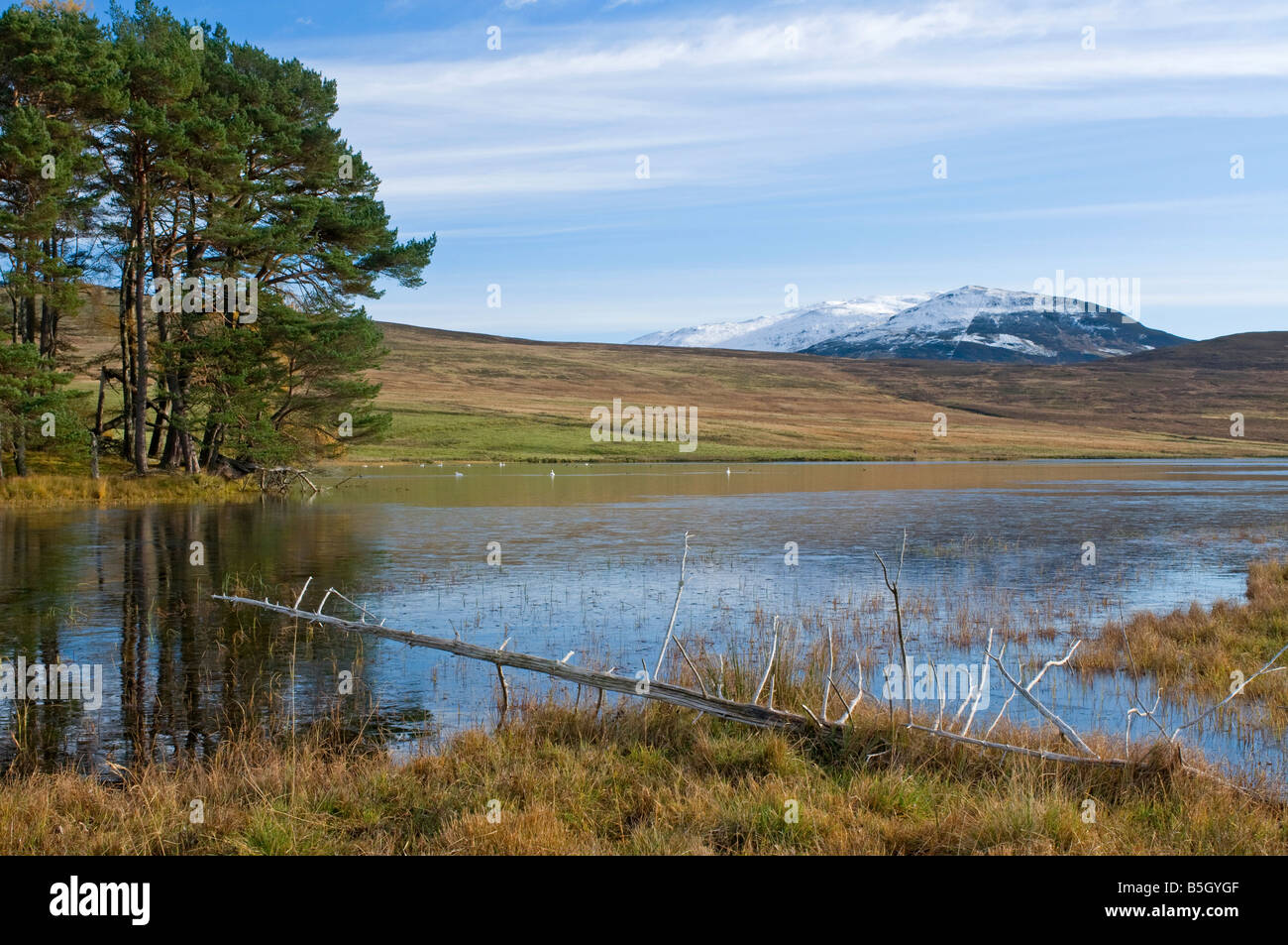 Loch Moraig, Lude in Glen Fender Blair Atholl Perthshire Tayside Region ...