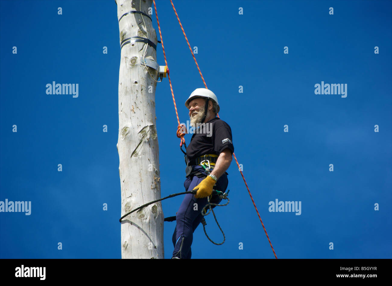 Pole tree trunk rope sport climbing safety helmet harness hi-res stock ...