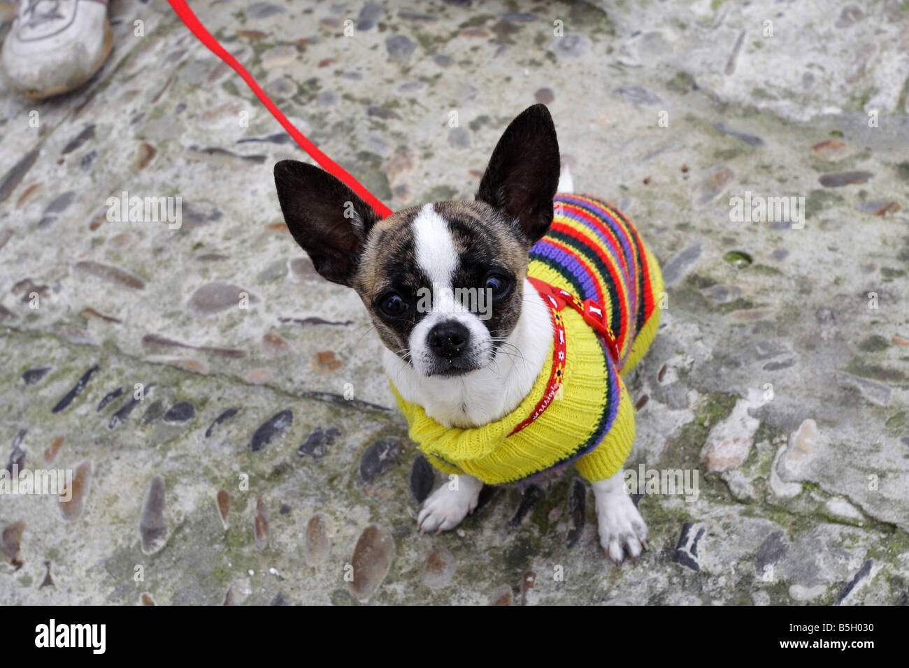 Fragile stare hi-res stock photography and images - Alamy