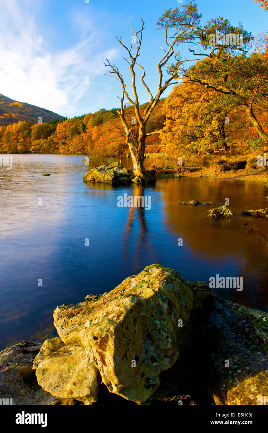 View loch lomond hi-res stock photography and images - Alamy
