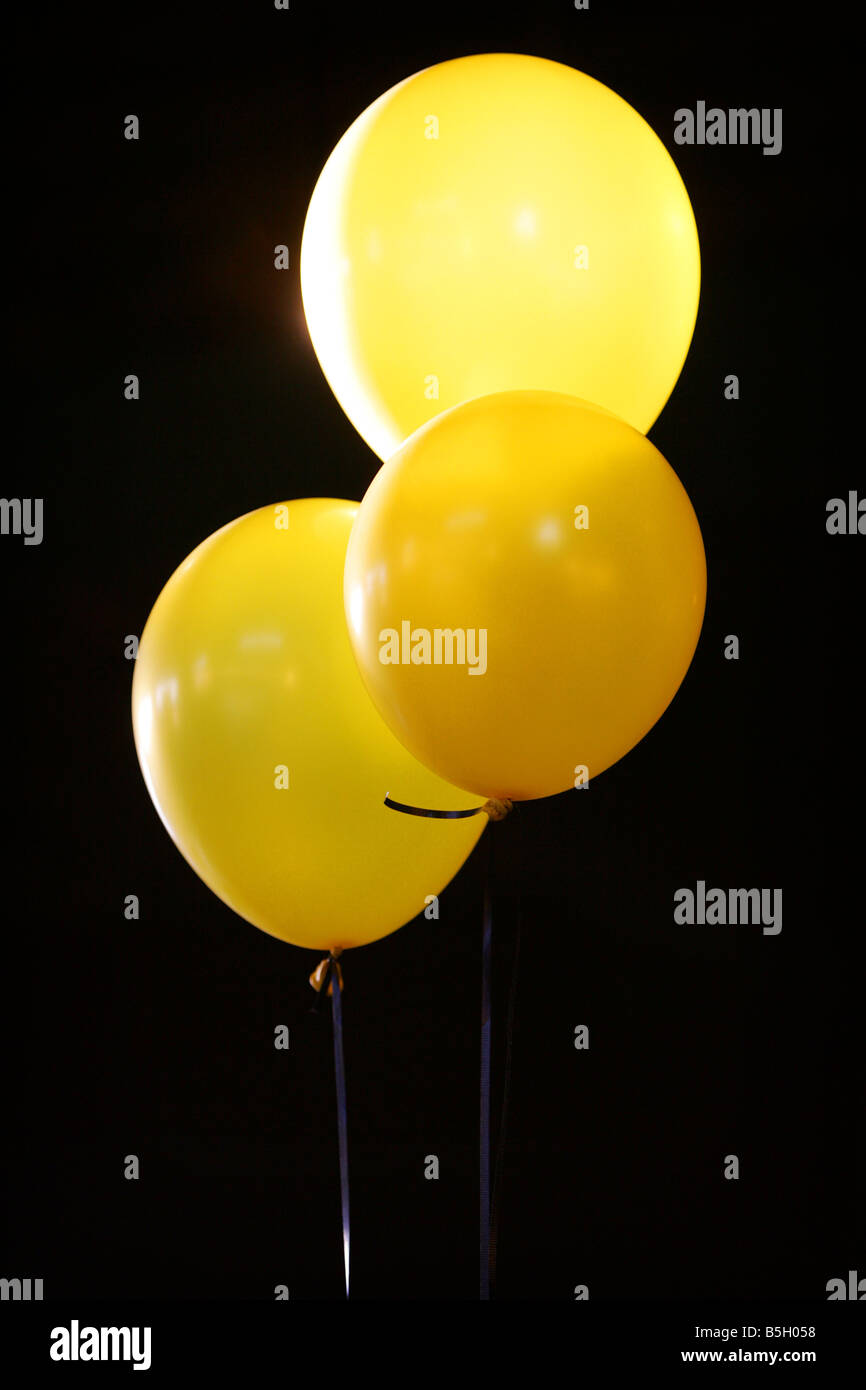 A trio of yellow helium balloons floating in front of a black ...