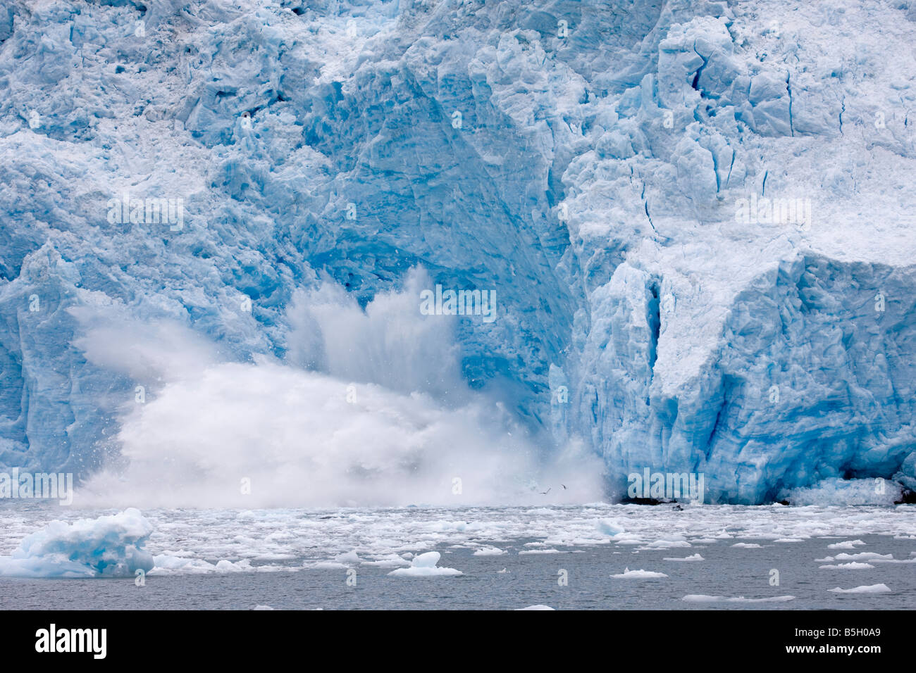 Chenga Glacier Calving, Prince William Sound, Alaska Stock Photo - Alamy