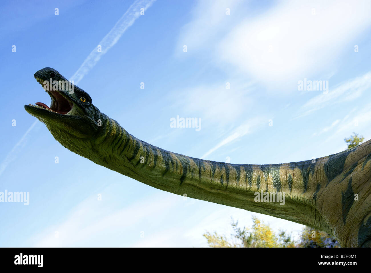 Plateosaurus teeth hi-res stock photography and images - Alamy