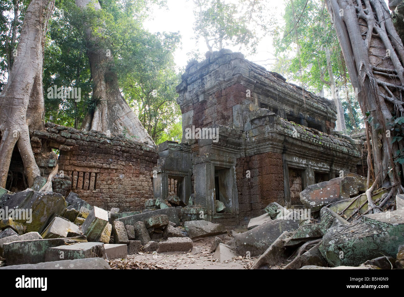 Inside the overgrown temple of Ta Prohm Temples of Angkor Siem Reap Cambodia Stock Photo - Alamy