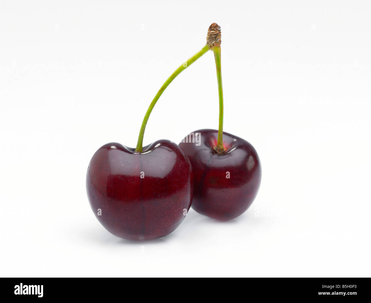 Two red Cherries connected at the stalk on white background Stock Photo ...