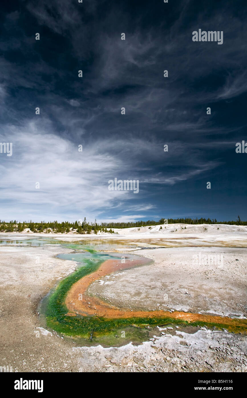 Geo thermal algae hi-res stock photography and images - Alamy