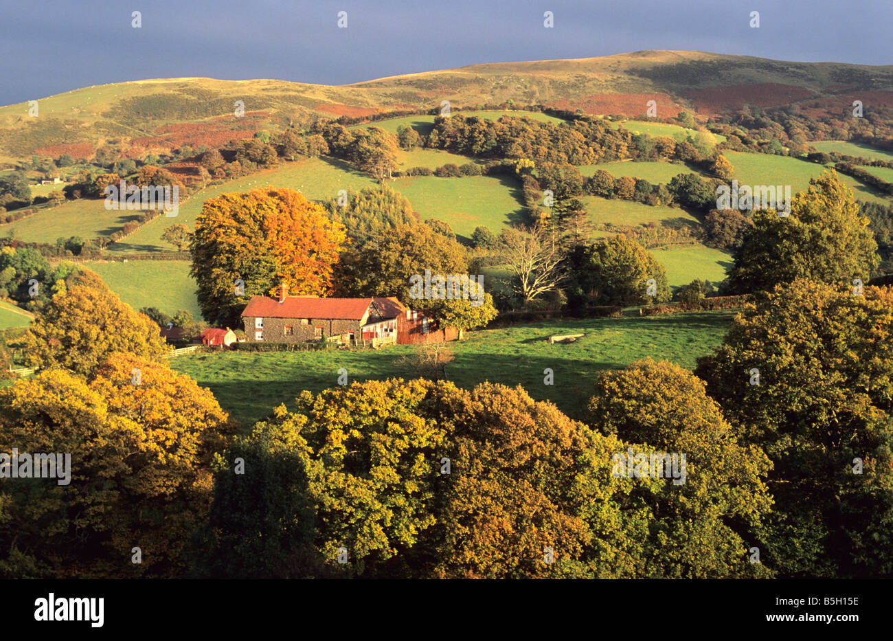 Welsh hill farm, Powys, Wales, UK Stock Photo - Alamy