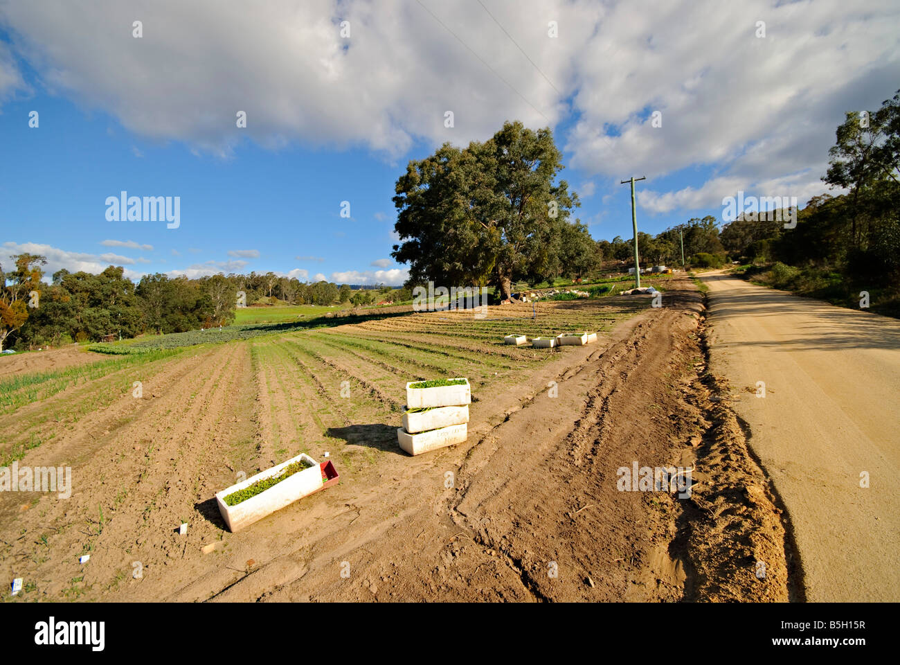 Australian rural property hi-res stock photography and images - Alamy