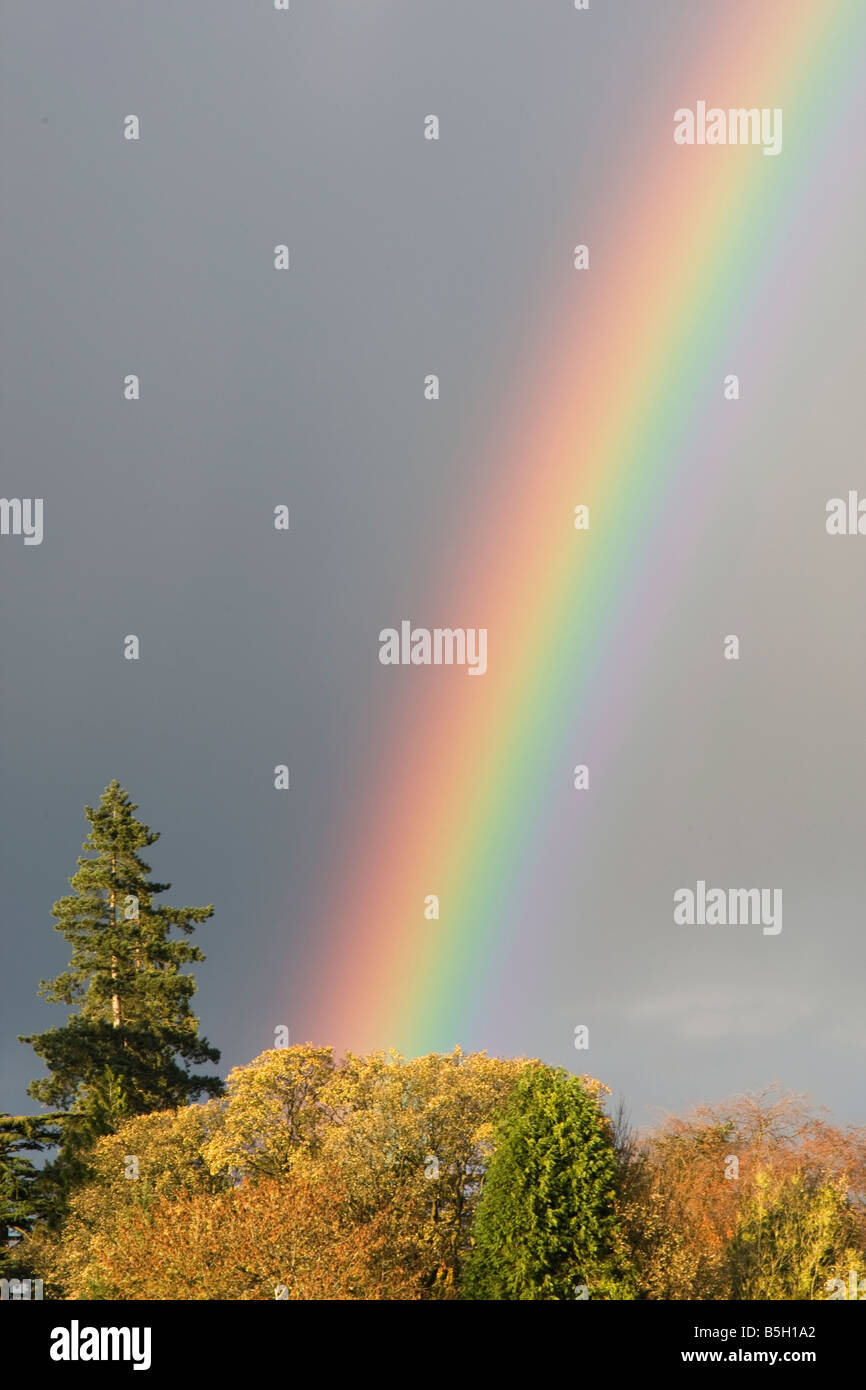 Rainbow with autumnal trees Stock Photo - Alamy