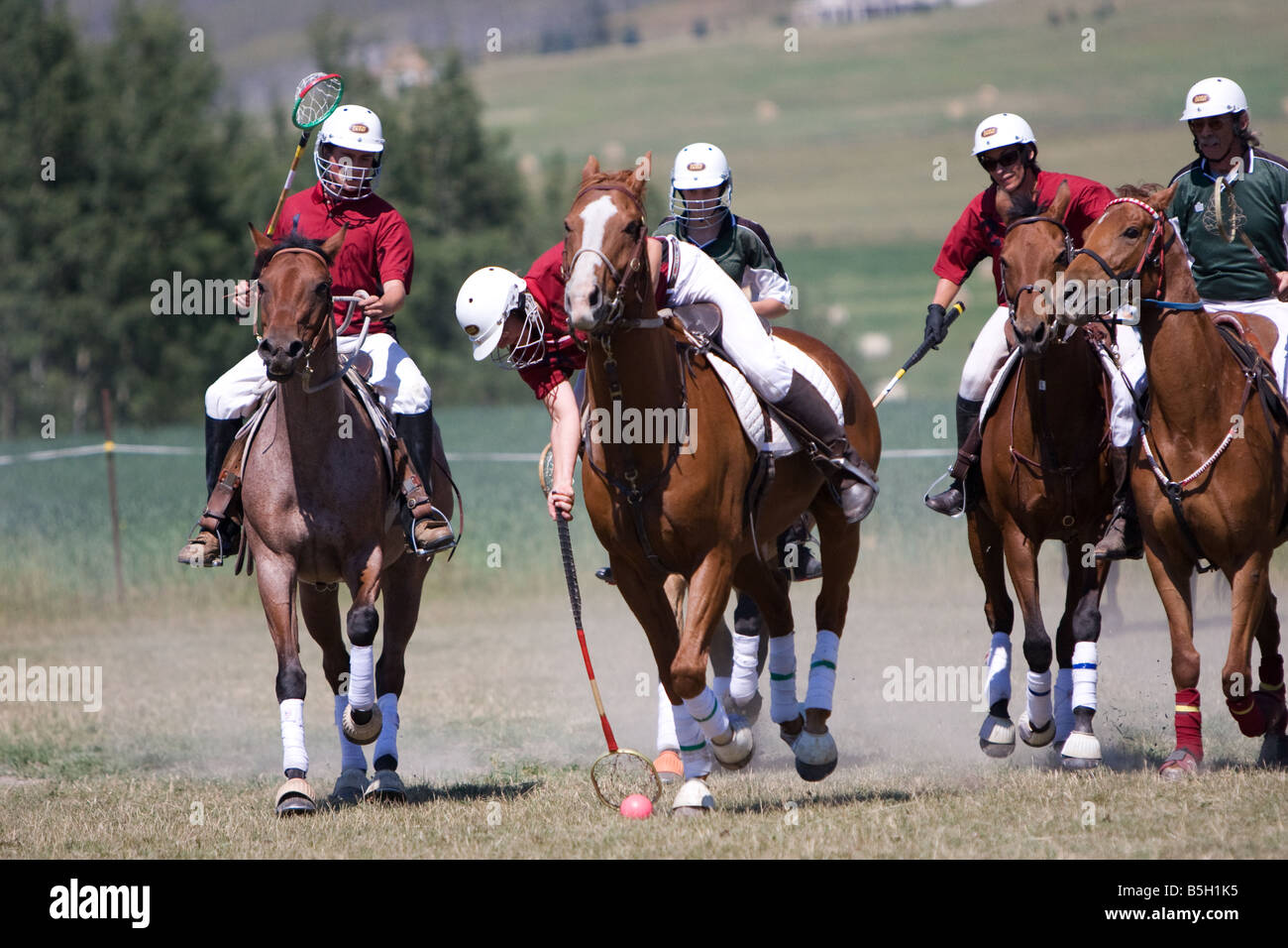 Polocrosse hi-res stock photography and images - Alamy