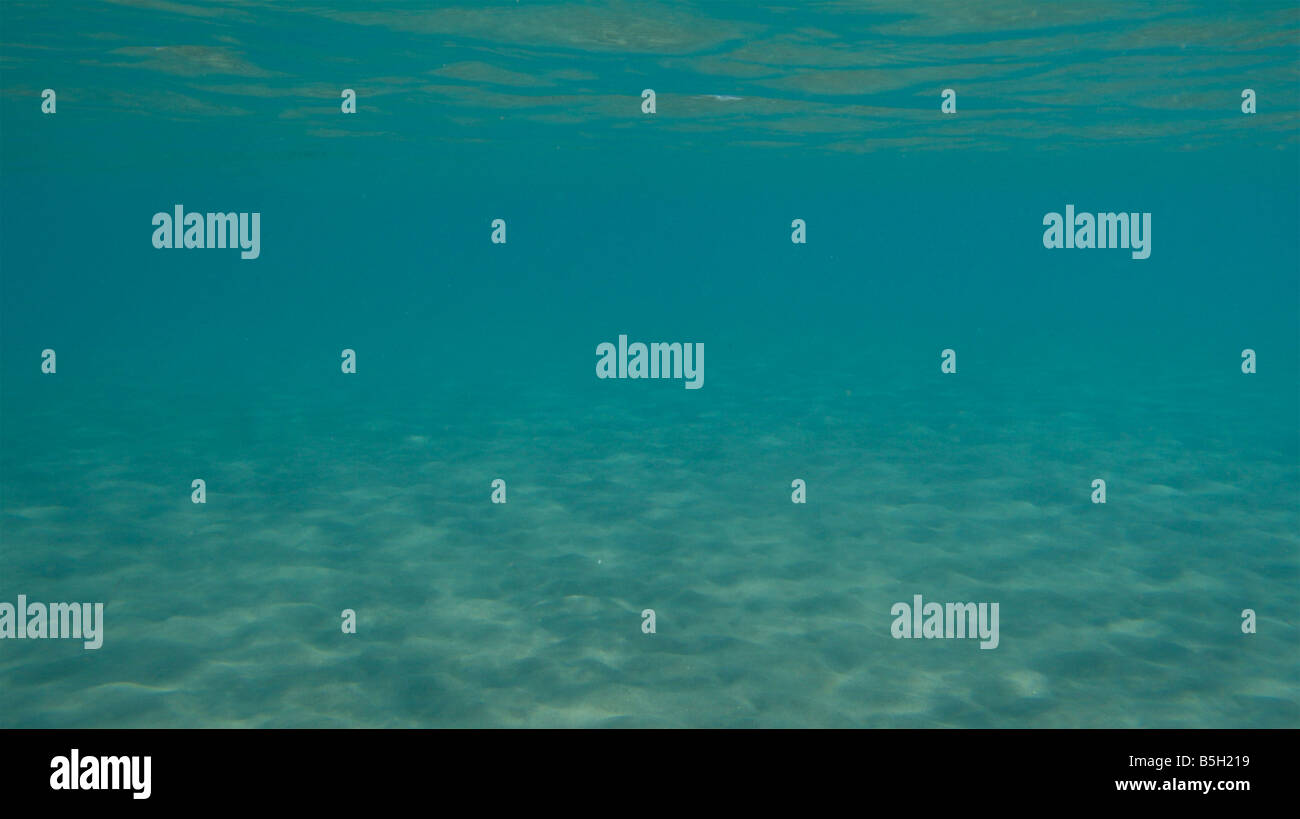 blue water in shallow sandy seabed Stock Photo - Alamy