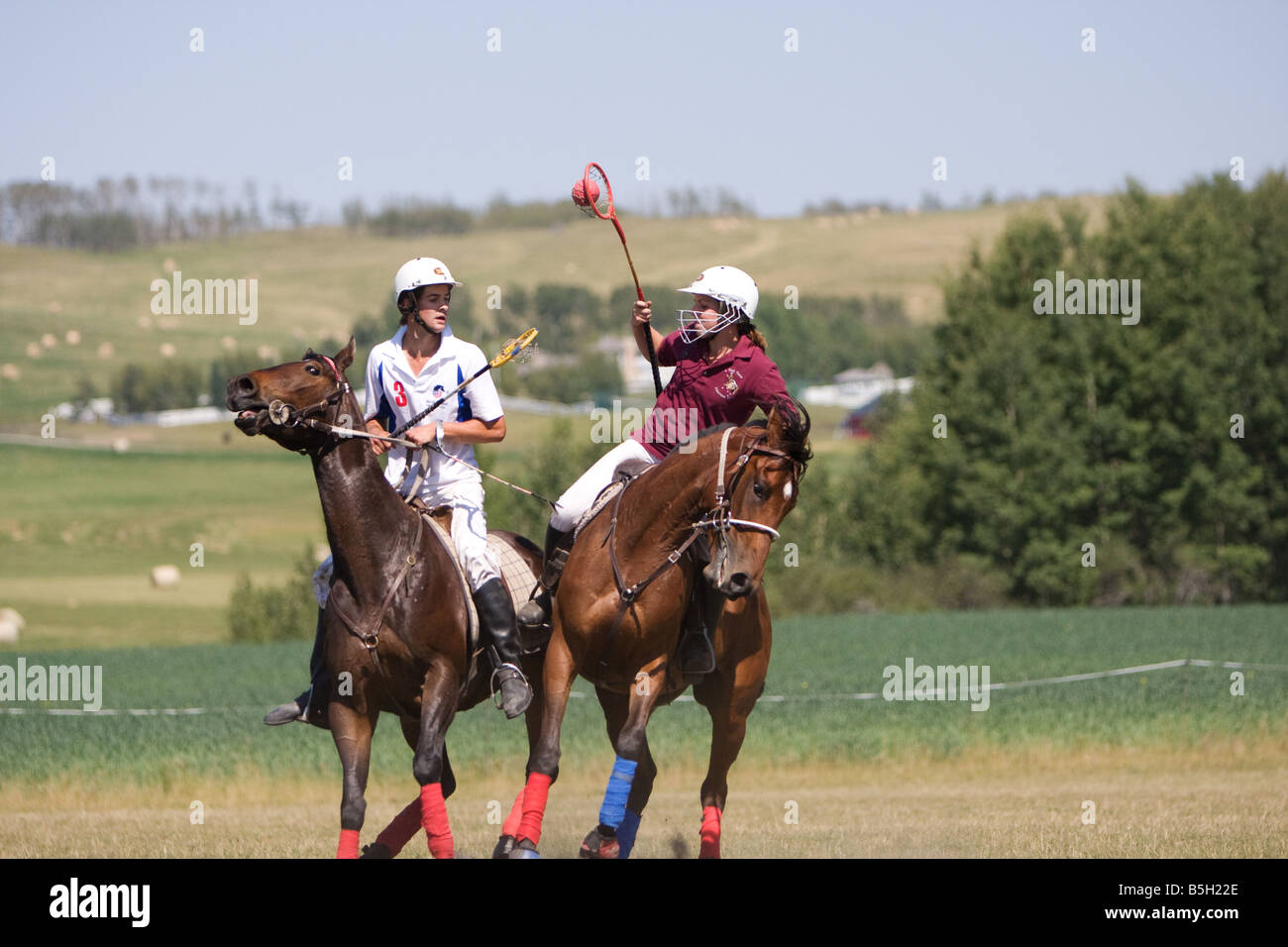 Two riders battle for the ball during a polocrosse match on horseback ...