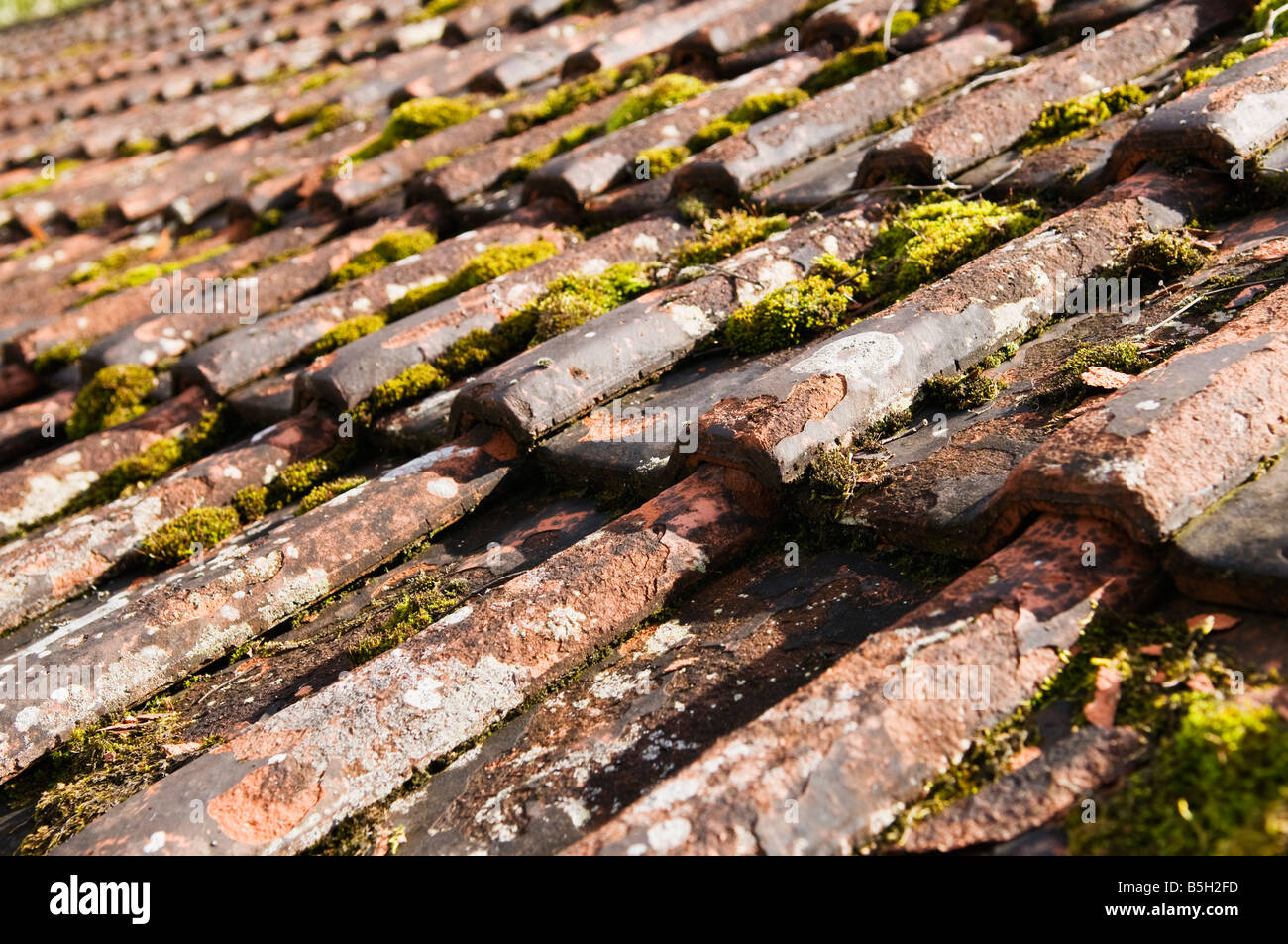 German barn hi-res stock photography and images - Alamy