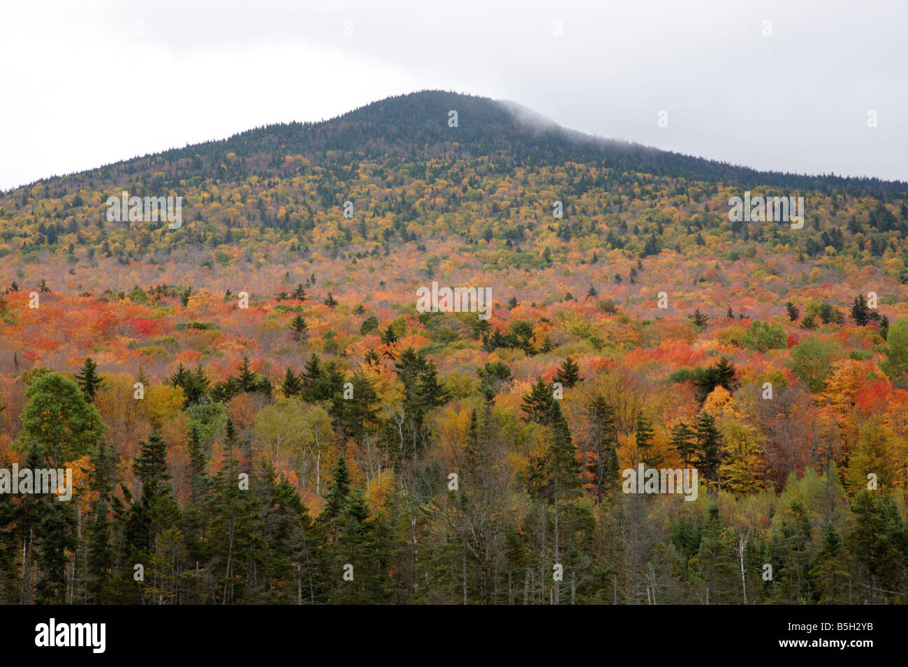 Mount Deception during the autumn months Located in the White Mountains ...