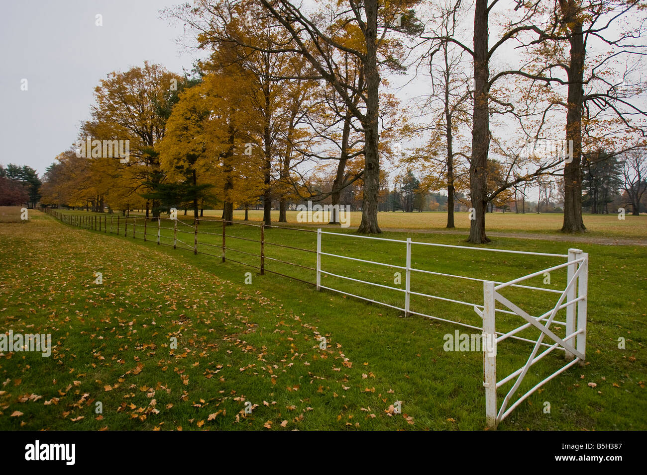 Open gate to a field Stock Photo - Alamy