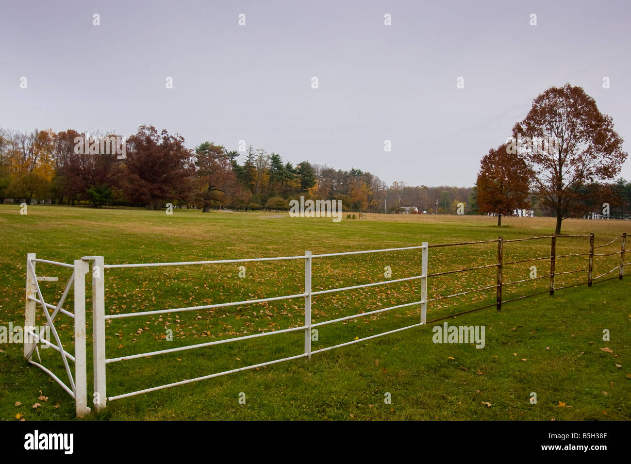 Open rail fence hi-res stock photography and images - Alamy