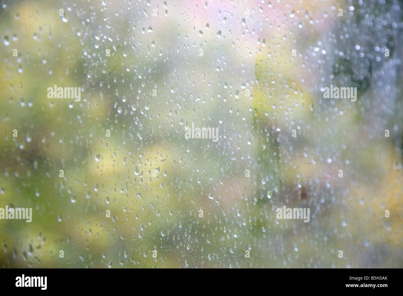 Rain on a window hi-res stock photography and images - Alamy