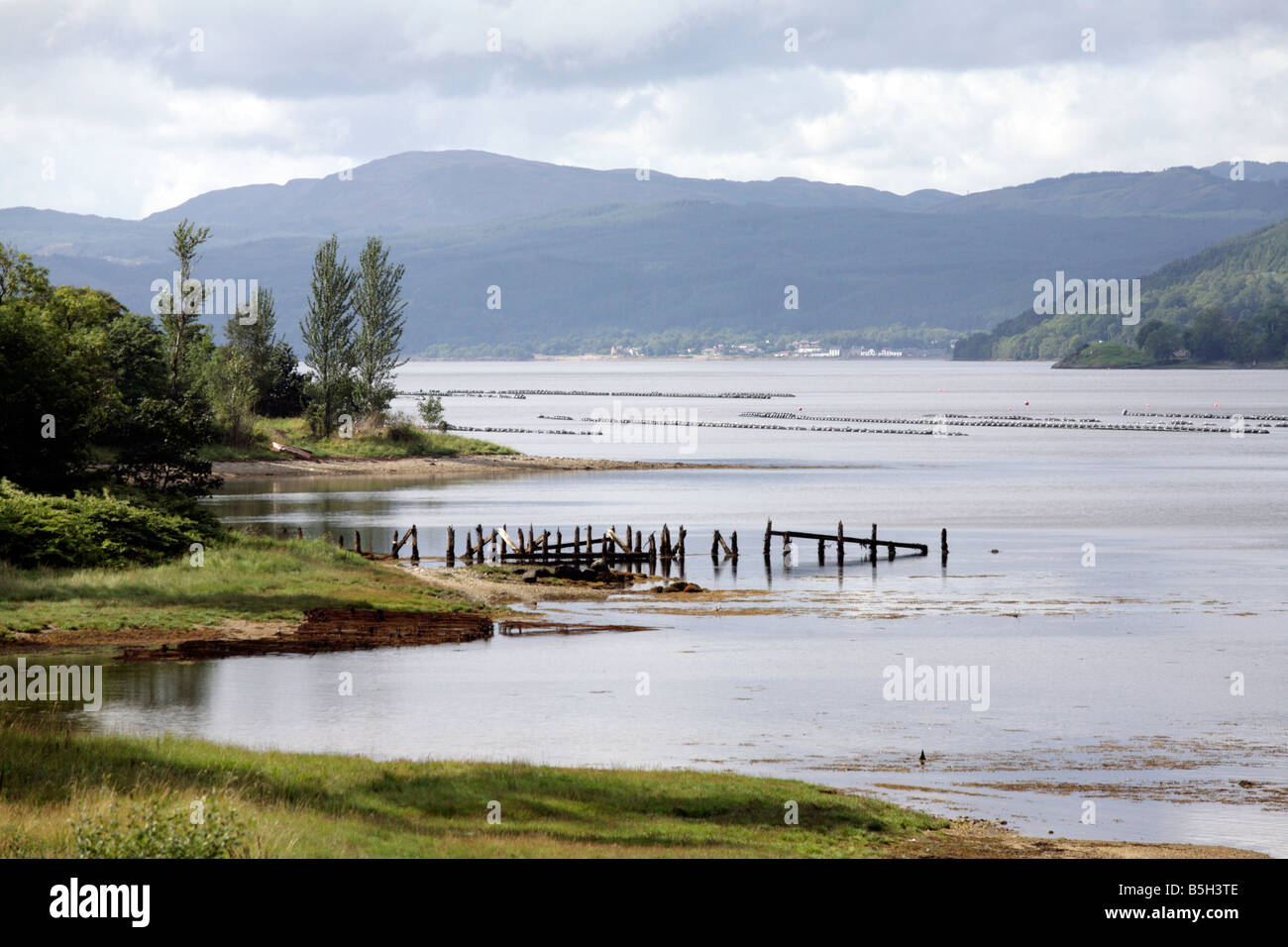 Loch fyne scotland hi-res stock photography and images - Alamy