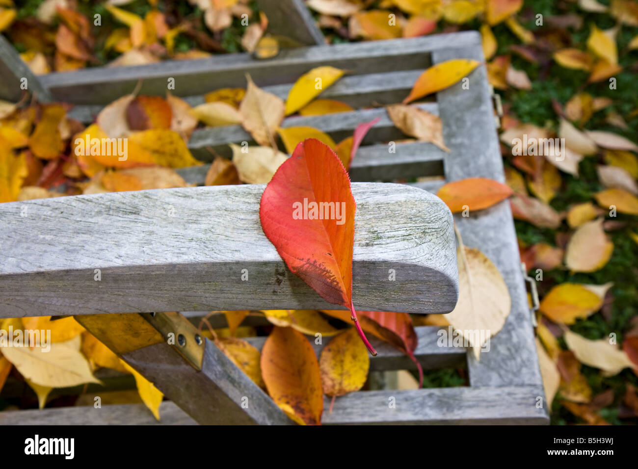 Rotten wooden chair and furniture hi-res stock photography and images ...