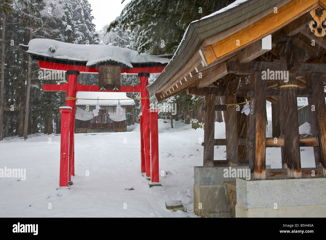 Japanese red gate hi-res stock photography and images - Alamy