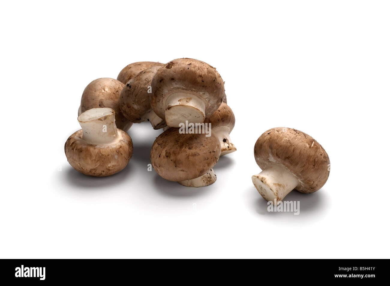 Brown button mushroom Cut Out Stock Images & Pictures - Alamy