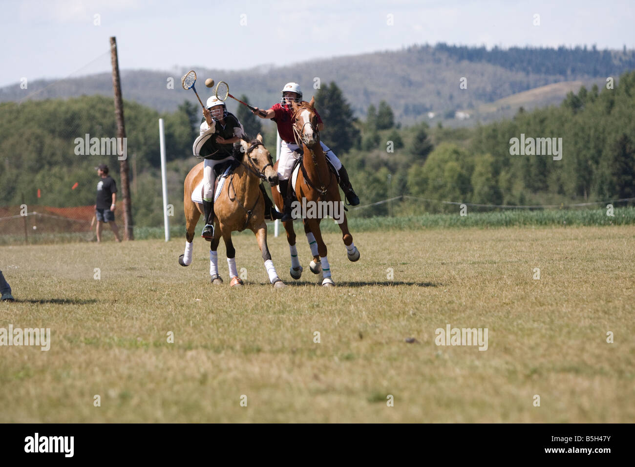 Two riders battle for the ball during a polocrosse match on horseback ...
