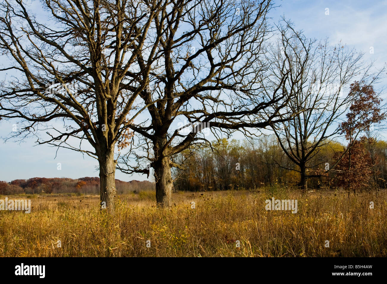 Illinois state park hi-res stock photography and images - Alamy