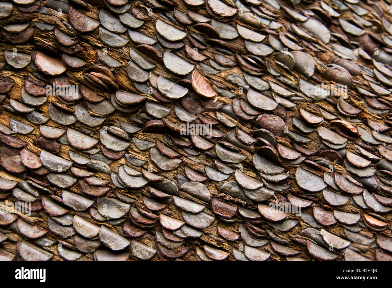 Penny tree hi-res stock photography and images - Alamy