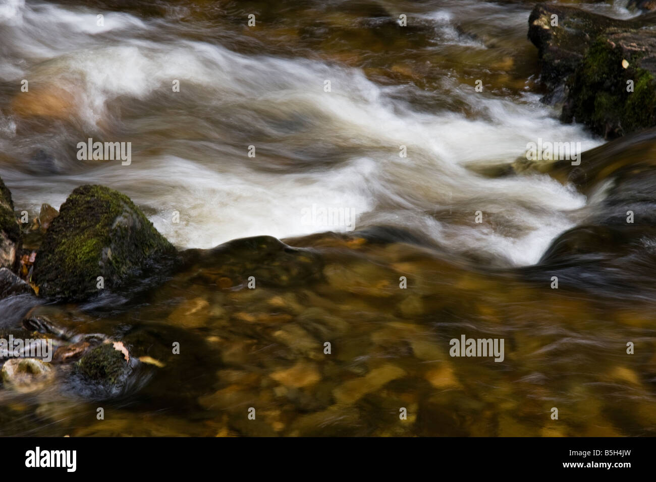 Rapidly growing plants hi-res stock photography and images - Alamy
