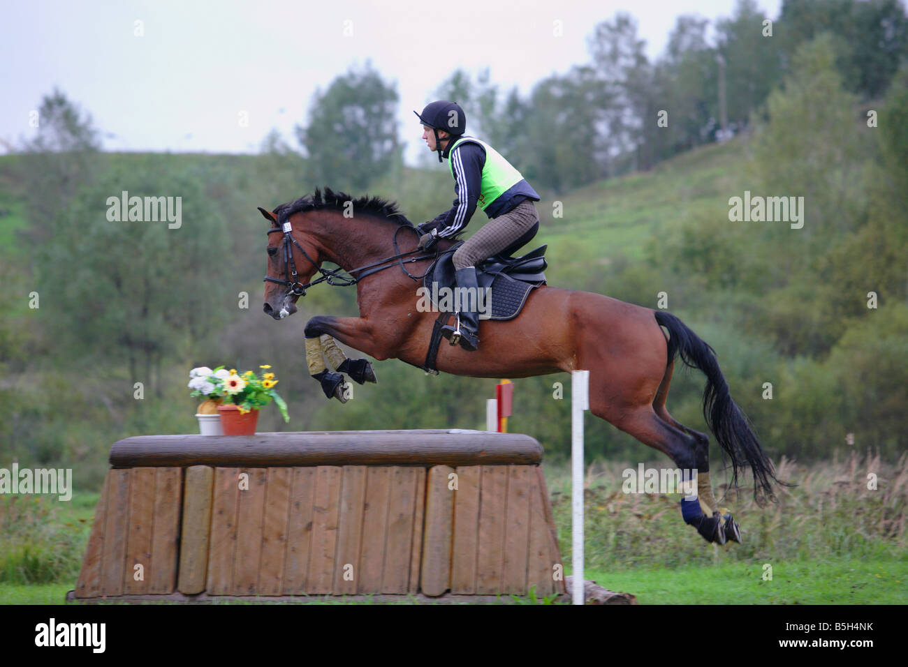 Horse obstacle course hi-res stock photography and images - Alamy
