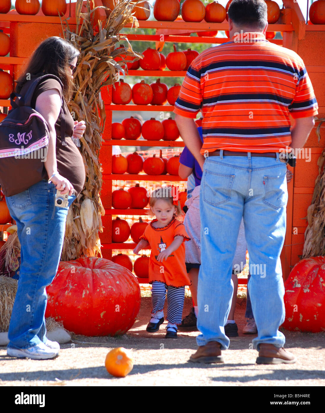 Having fun at a pumpking festival hi-res stock photography and images ...