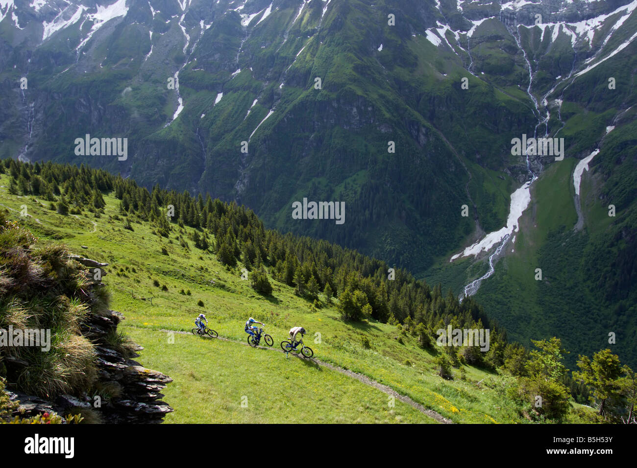 Three downhill cyclists on a path Stock Photo - Alamy
