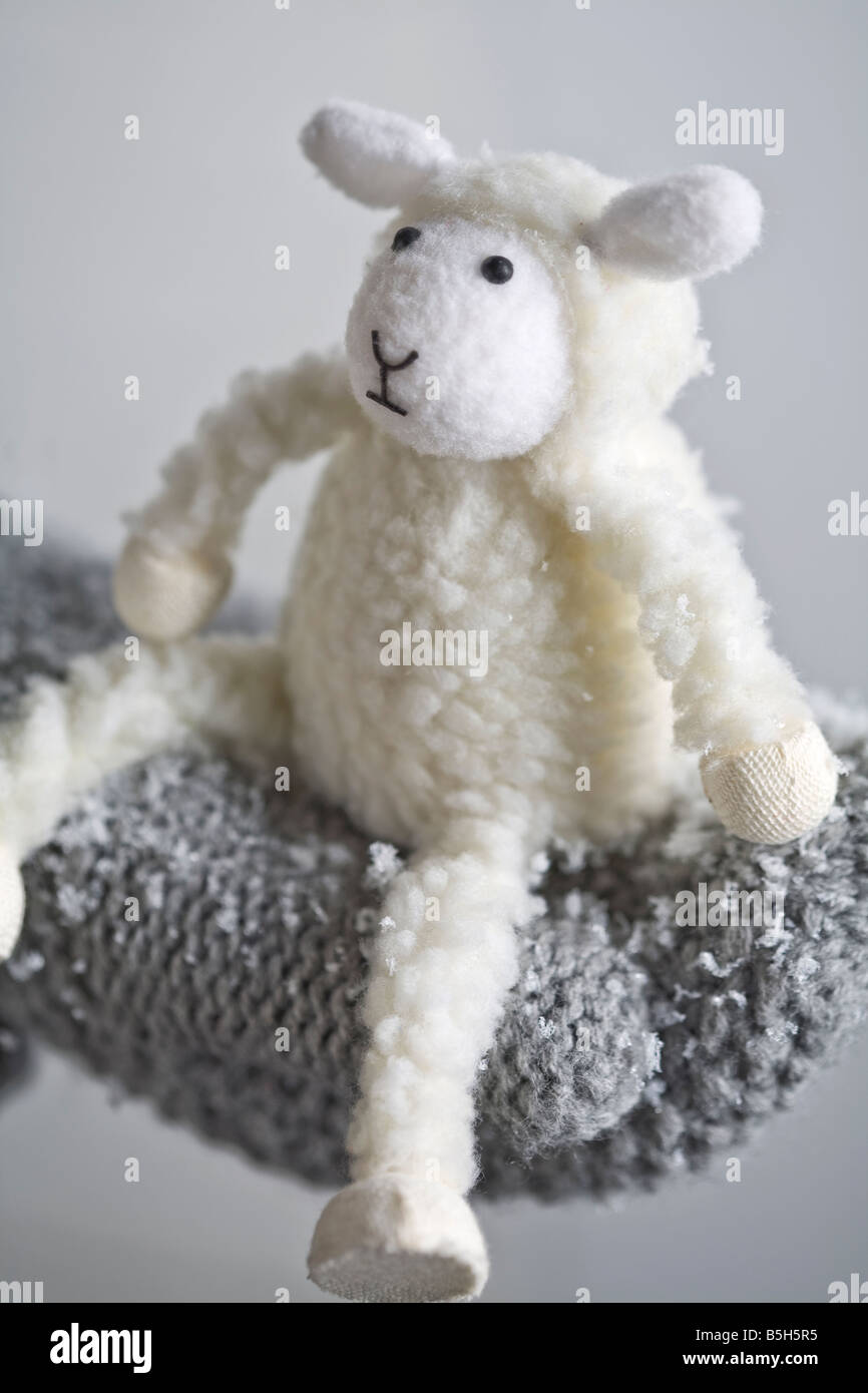 White sheep sitting Stock Photo - Alamy