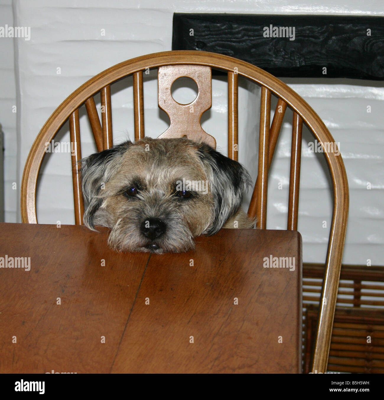 Begging chair hi-res stock photography and images - Alamy