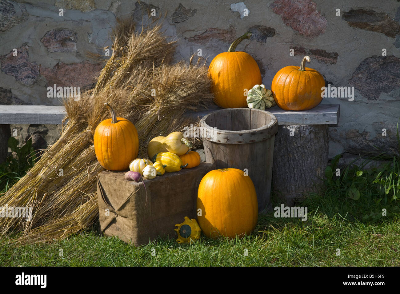 Decor and items for the Celebration of Thanksgiving in North America ...