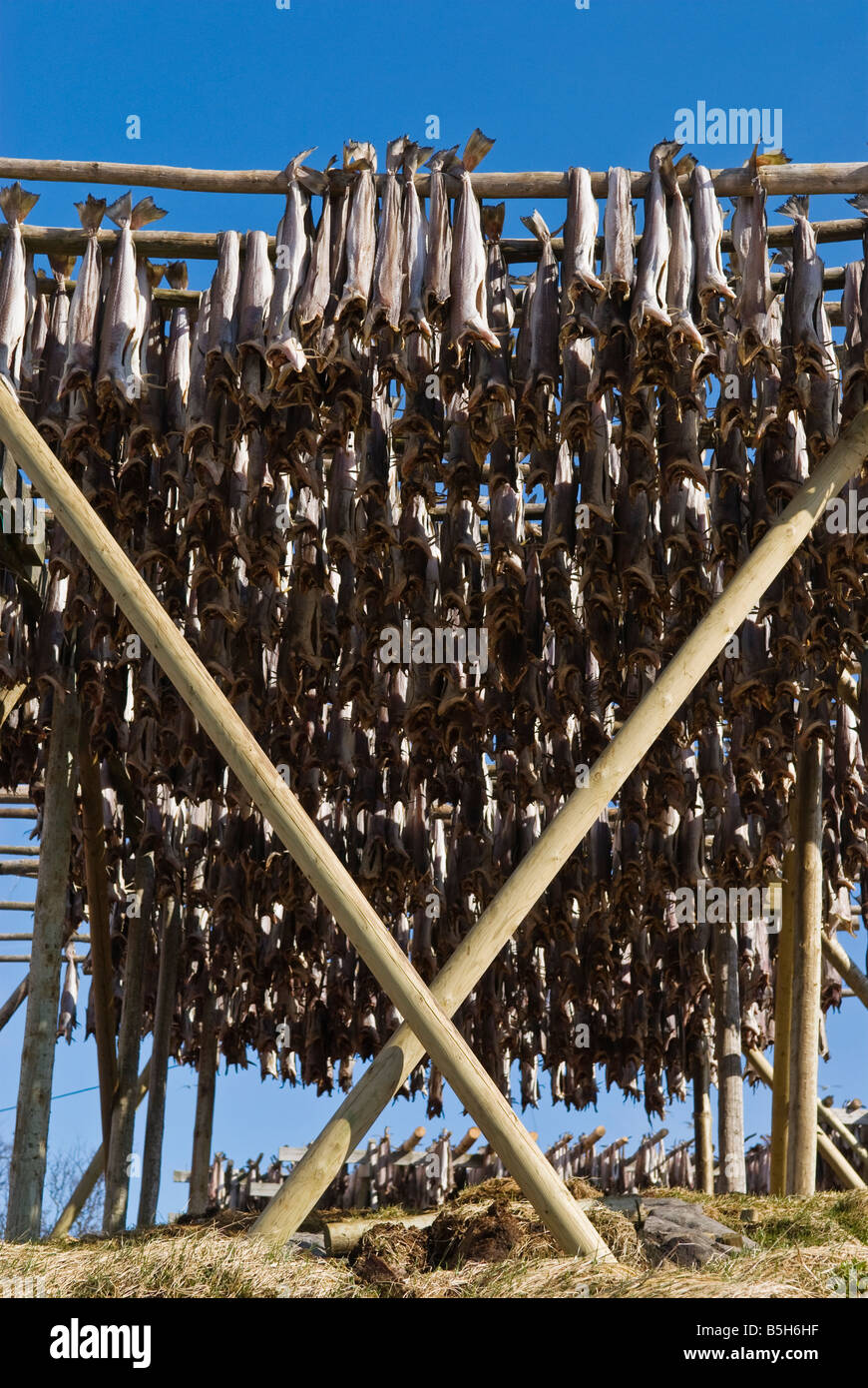 Wooden fish drying rack in fjord hi-res stock photography and images ...