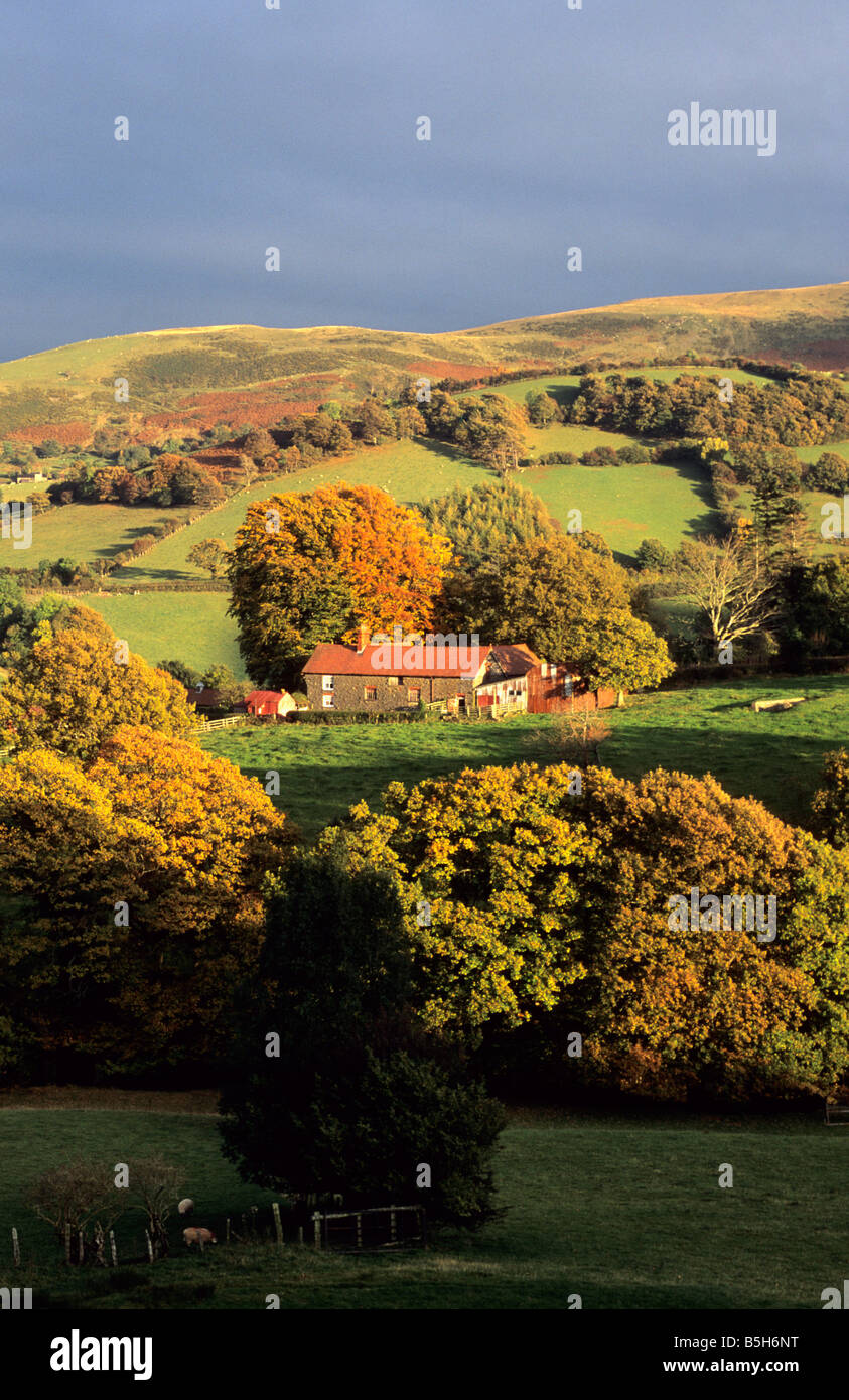 Rough grassland and hillside hi-res stock photography and images - Alamy