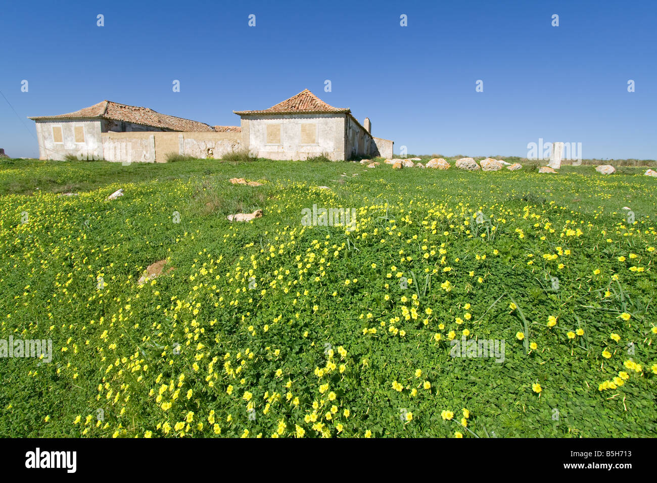Old ruined rural house in the Espichel Cape landscape. Sesimbra ...