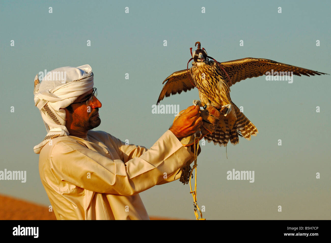 Falcon Hunting