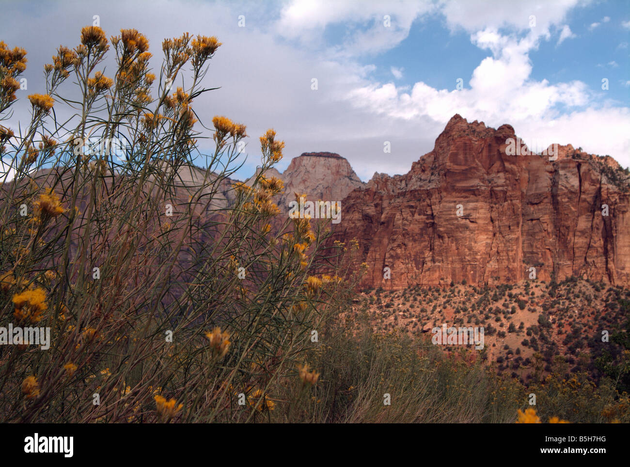 Zion National Park. Near Springdale. Utah. USA Stock Photo - Alamy