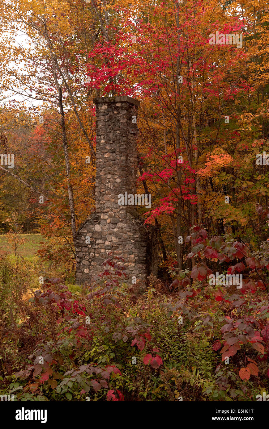 Fall tree colors hi-res stock photography and images - Alamy