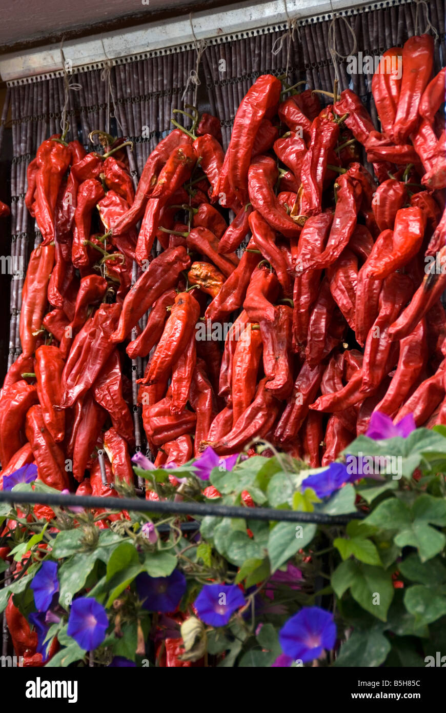 Red chilli drying hi-res stock photography and images - Alamy