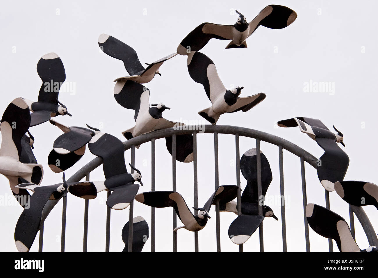 Flying birds colour hi-res stock photography and images - Alamy