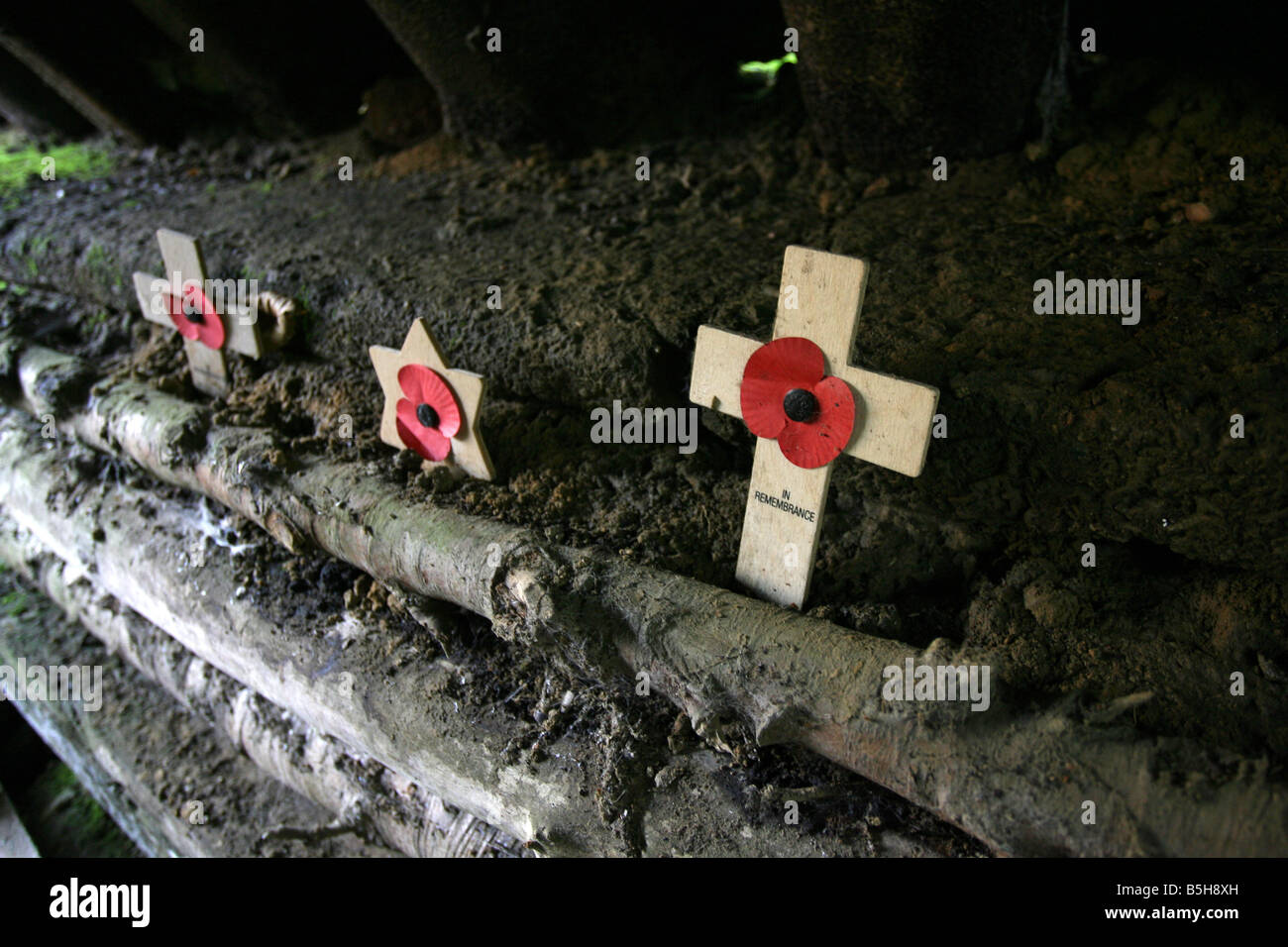 Poppy and cross rememberance memorials to the First World War dead and ...