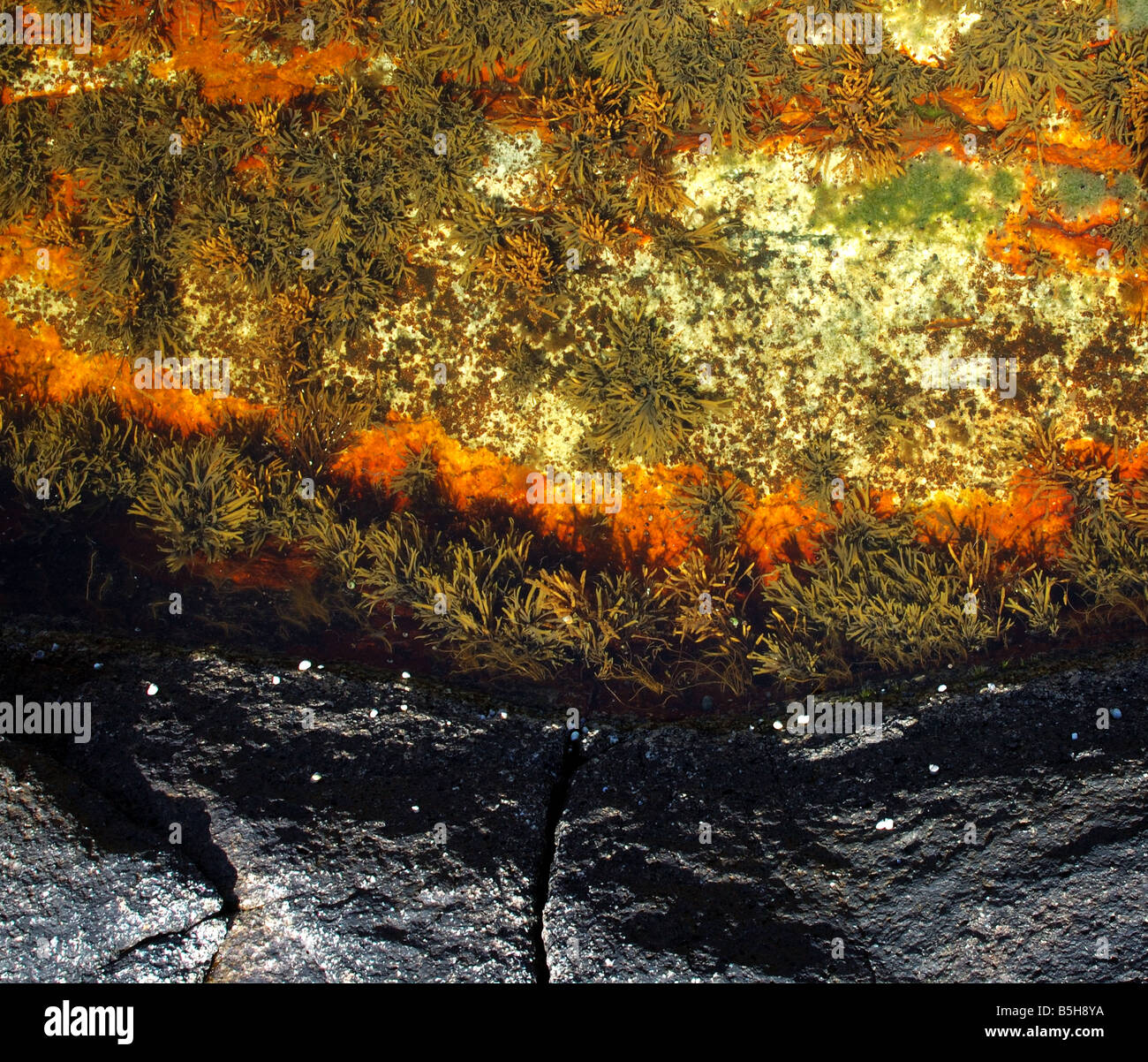 Peggys pool hi-res stock photography and images - Alamy