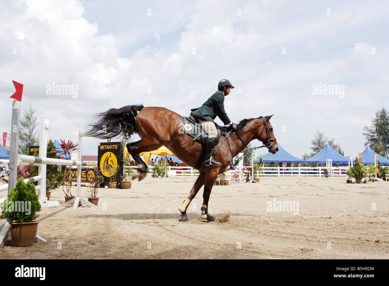 Show jumping competition hi-res stock photography and images - Alamy
