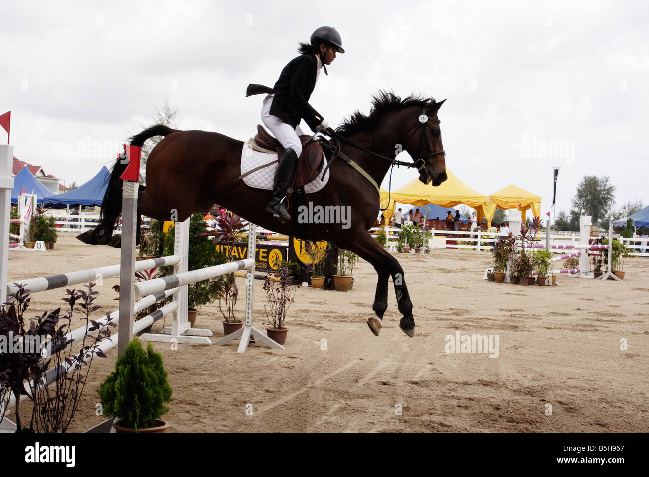 Equestrian horse competition hi-res stock photography and images - Alamy