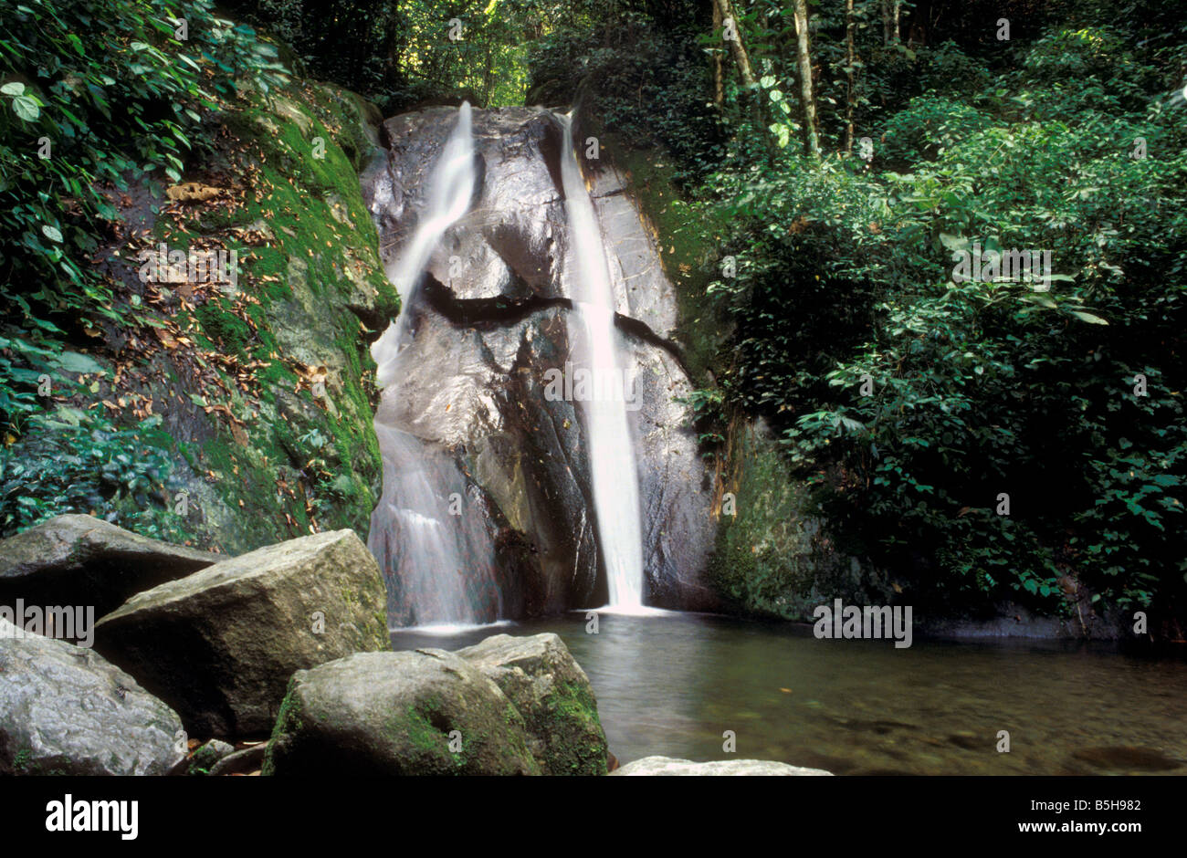 poring hot springs mount kinabalu sabah borneo malaysia Stock Photo - Alamy