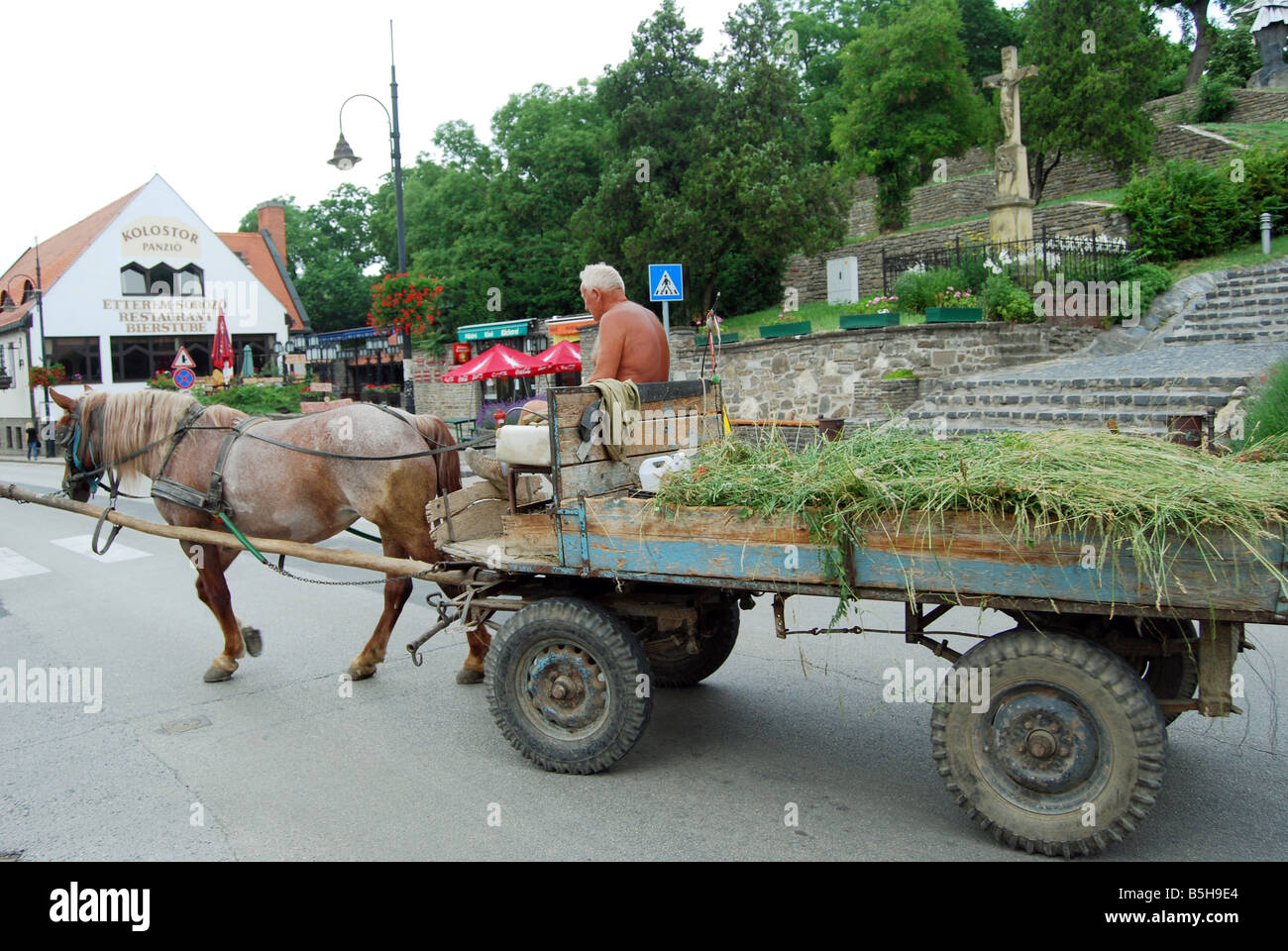 Getting around the old fashioned way in a horse and cart Tihany Lake ...