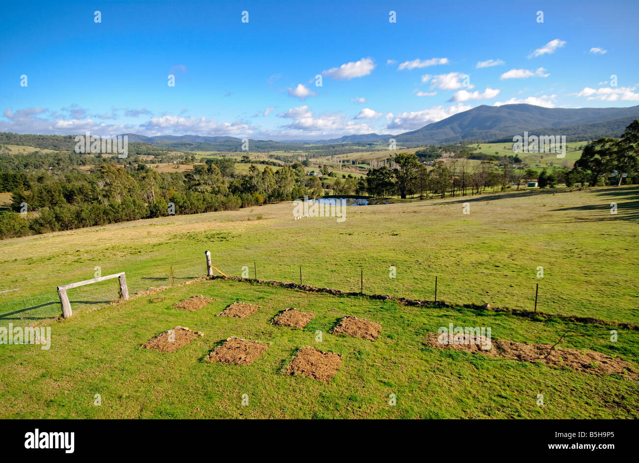 Towamba new south wales hi-res stock photography and images - Alamy